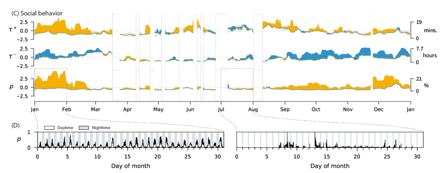 Rhythm of relationships in a social fish over the course of a full year ...